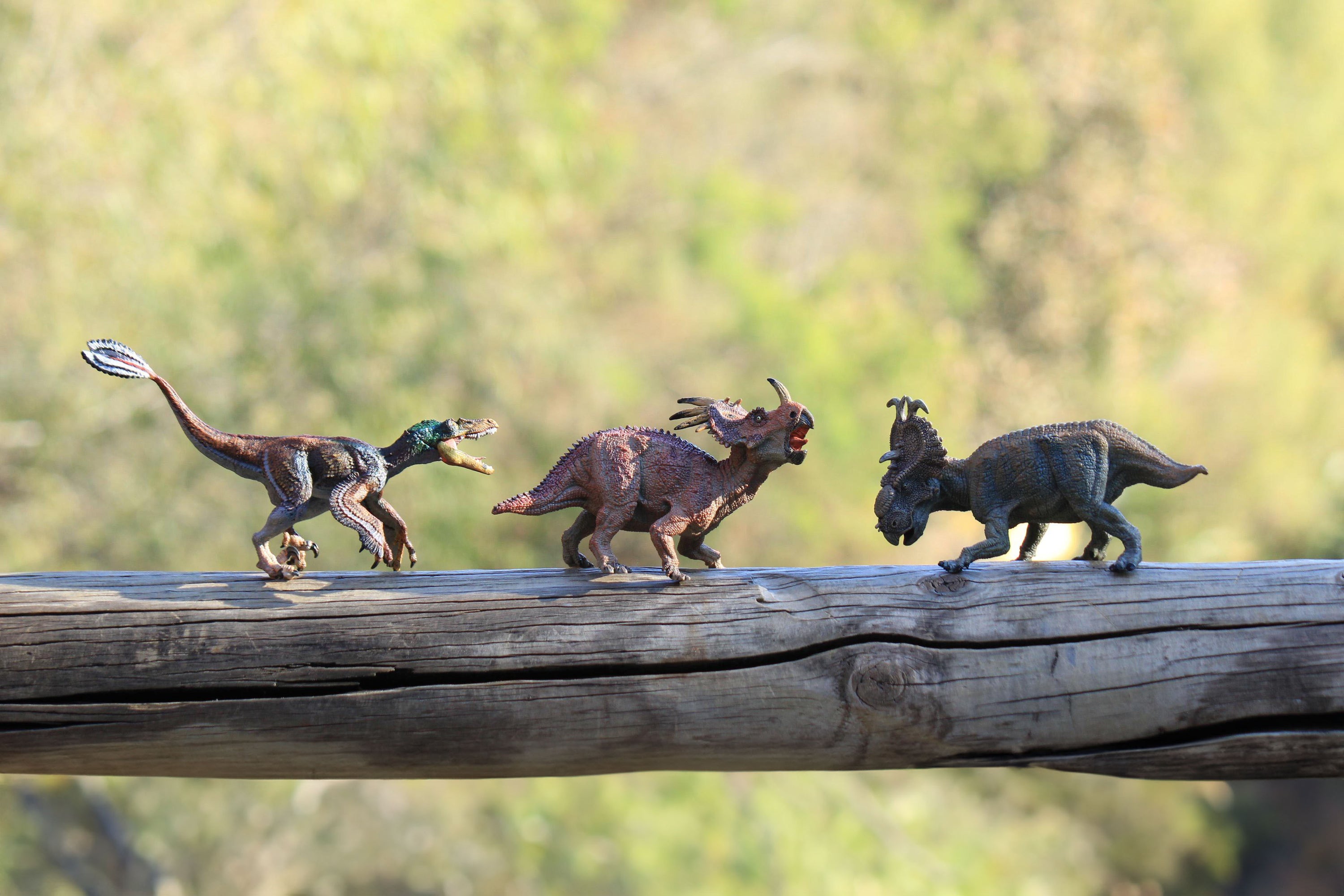 Dinosaur World